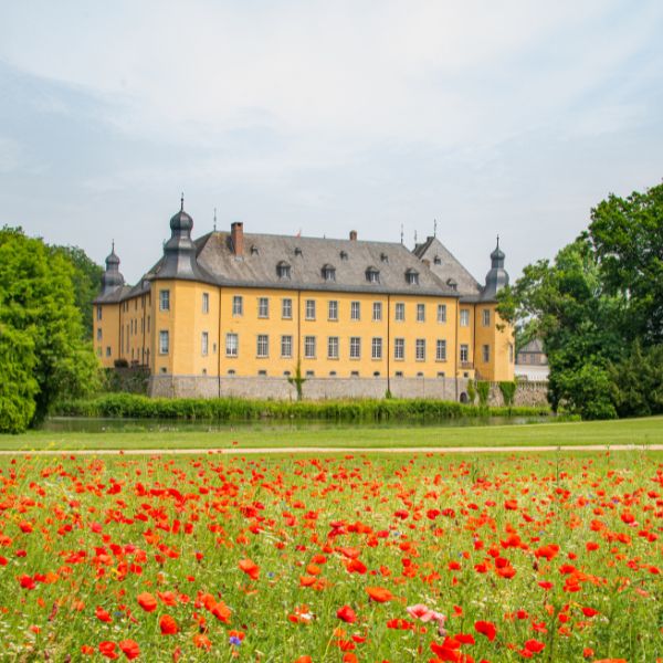 Find The Hidden Gem: Castles of Cologne, Germany